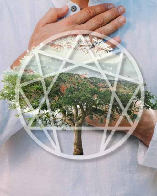 Contemplative Enneagram Foundations: Awakening to Wholeness - Evolving Enneagram